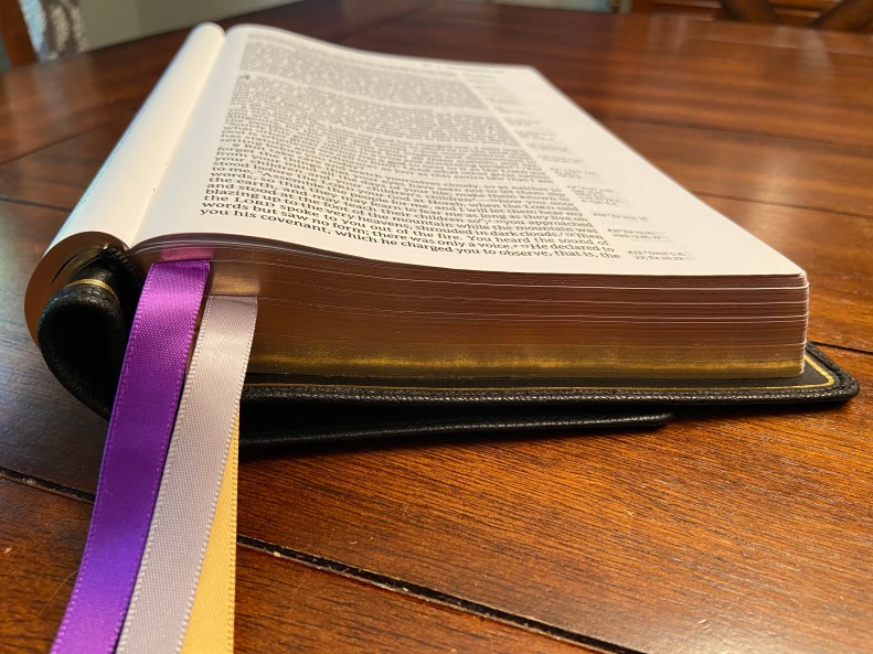 Zondervan NRSV Single-Column Reference Bible, Premier Collection: Brand ...